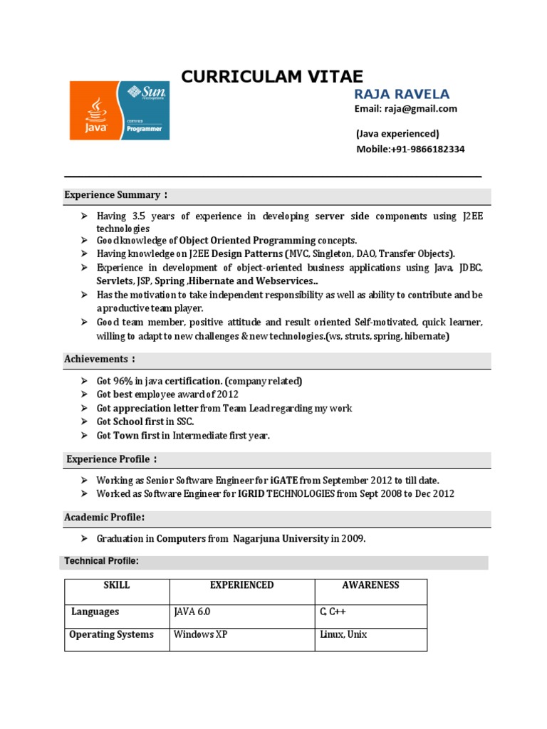 Experienced Resume | Download Free PDF | Java Server Pages | Java (Programming Language)