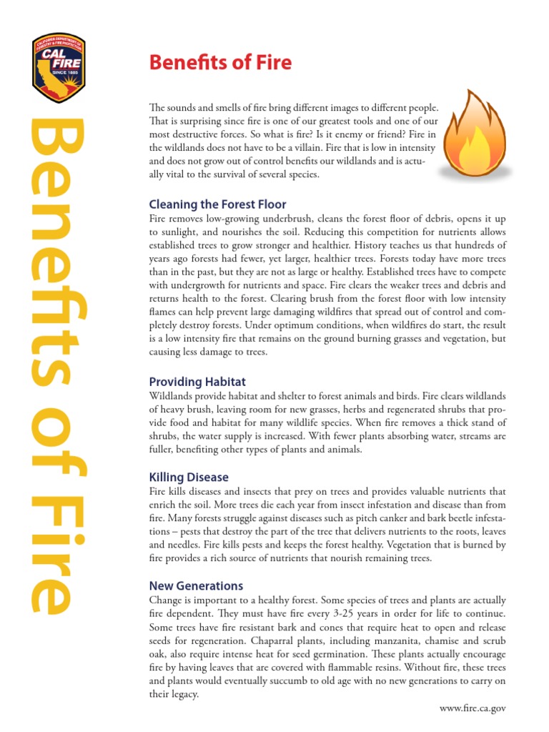 The Benefits of Fire | PDF | Wildfire | Trees