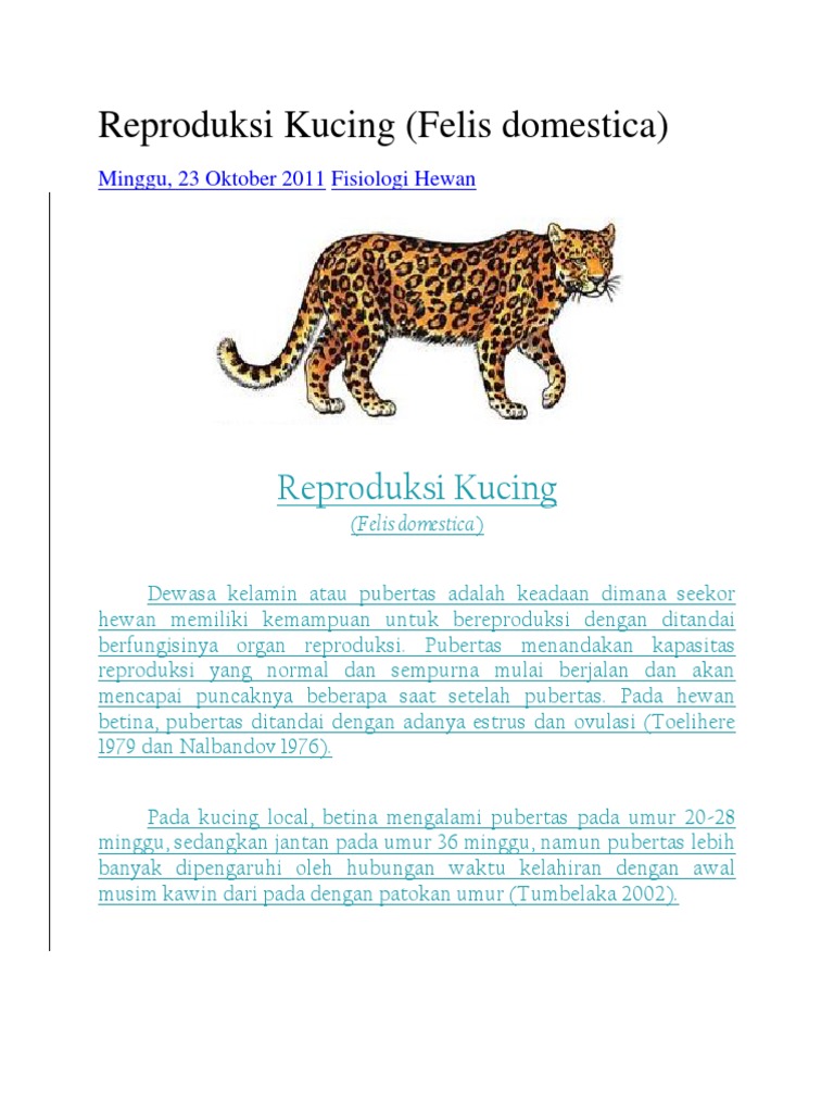 Reproduksi Kucing | PDF