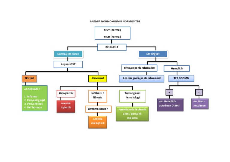 MCV (Normal) MCH (Normal) : Anemia Normokromik Normositer | PDF