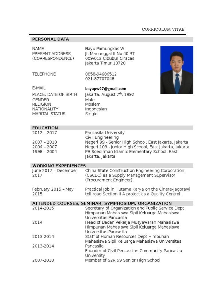 A Comprehensive Curriculum Vitae Detailing the Educational and Professional Experience of Bayu ...