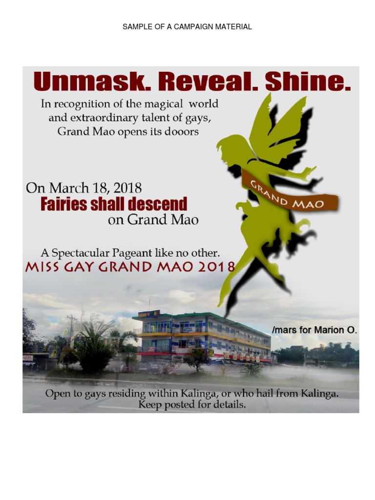 Sample of A Campaign Material | PDF