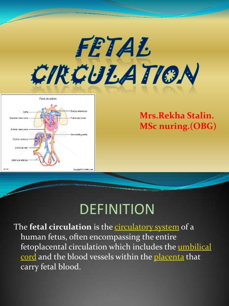 Fetal Circulation ORIGINAL | PDF | Fetus | Circulatory System