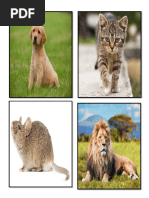 5 Animales Perjudiciales y 5 Utiles Animados | PDF