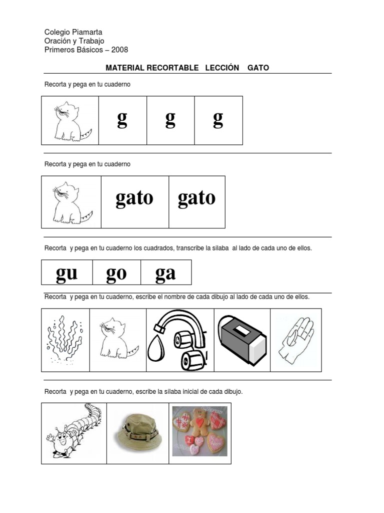 Lección Gato | PDF | Ocio
