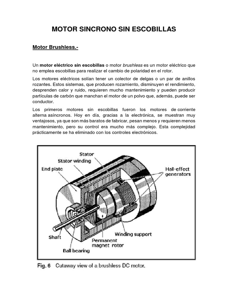 Motor Sincrono Sin Escobillas | PDF | Motores | Electromagnetismo