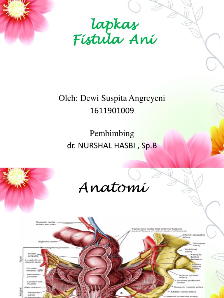 Fistula Ani | PDF
