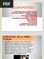 Tablas de Colorimetría para Cabello | PDF | Color | marrón