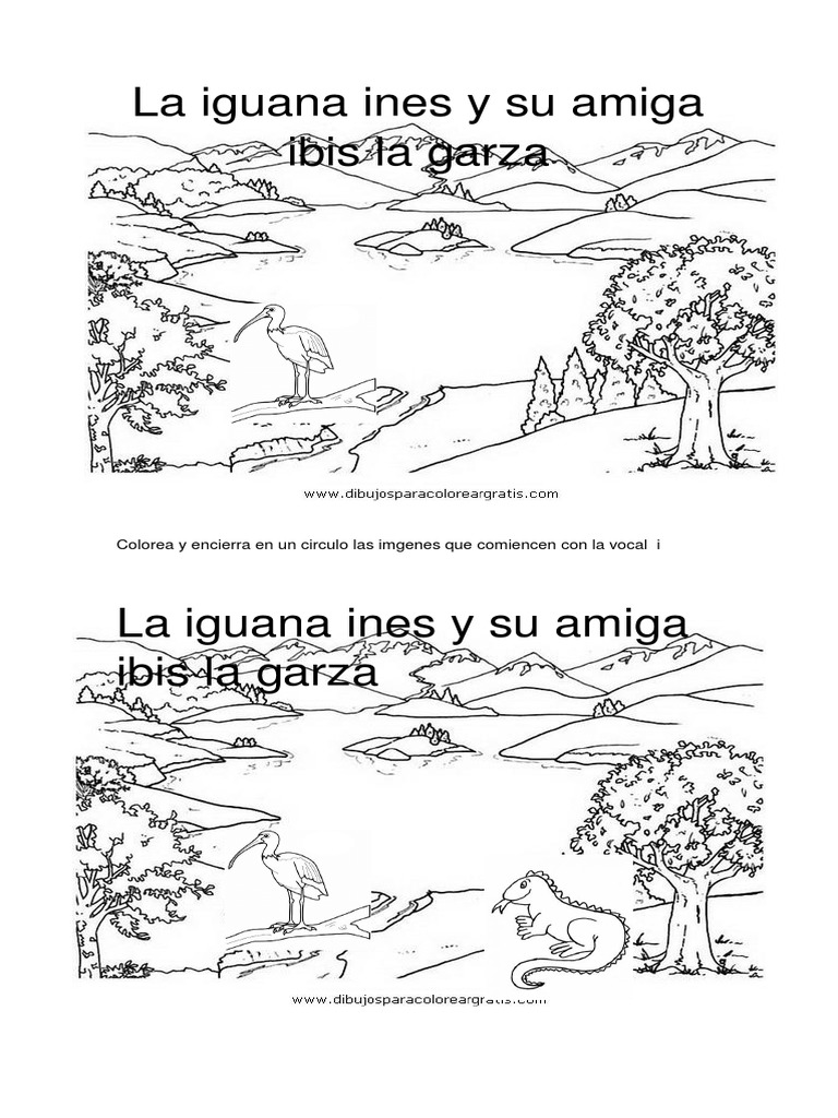 Guia La Iguana Ines y Su Amiga Ibis La Garza | PDF