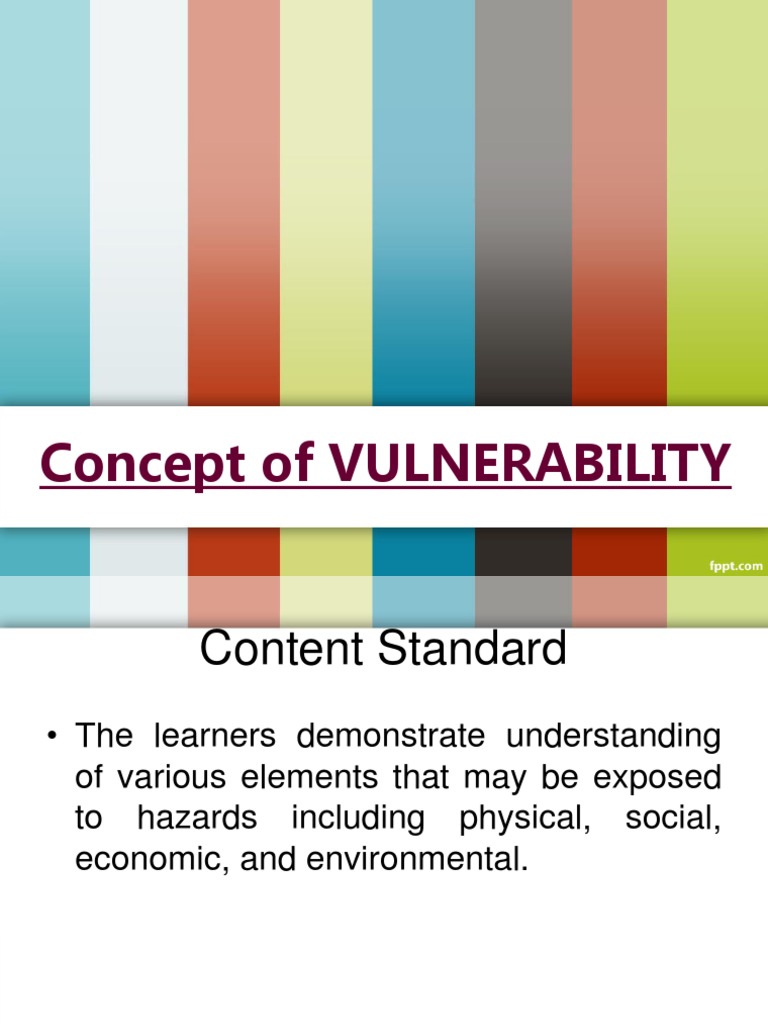 Chapter 2 Vulnerability | PDF | Hazards | Vulnerability