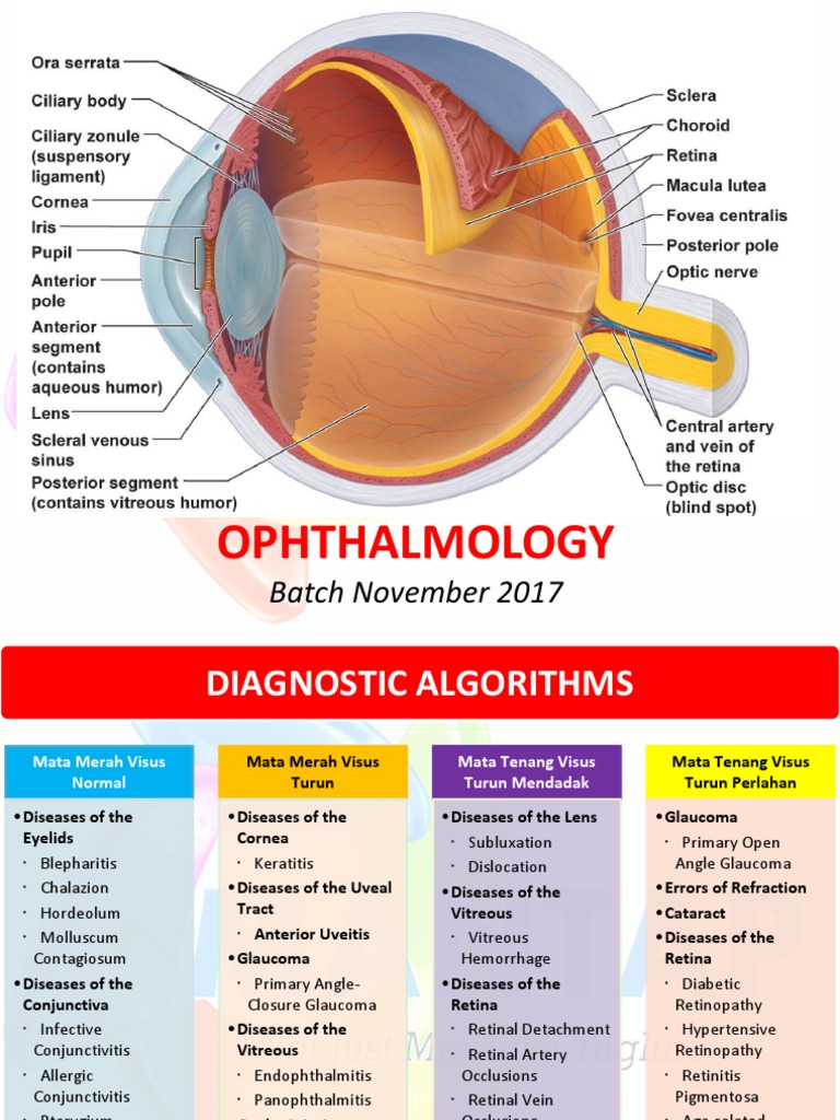 Oftalmologi Batch November 2017_unlocked