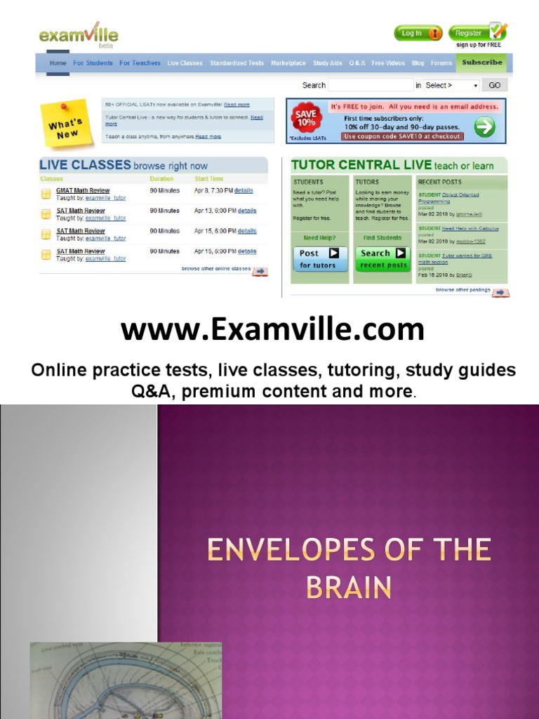 Envelopes of The Brain | PDF | Anatomy | Human Anatomy