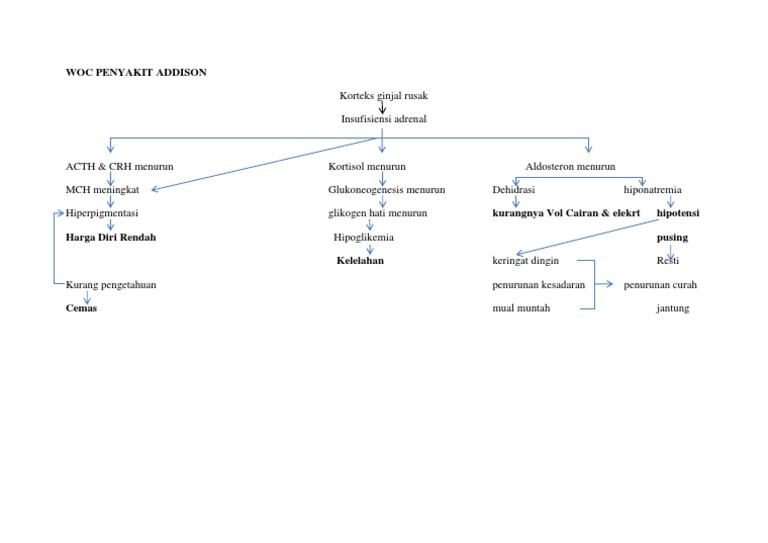 Woc Penyakit Addison | PDF