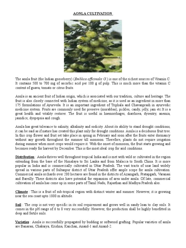 Aonla Cultivation Project | PDF | Pruning | Soil