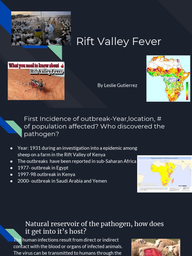Rift Valley Fever | PDF | Infection | Microbiology