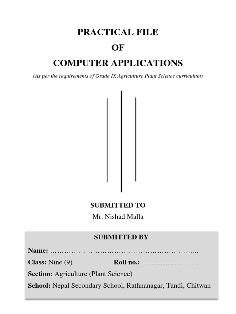 Practical File OF Computer Applications: Submitted To | PDF