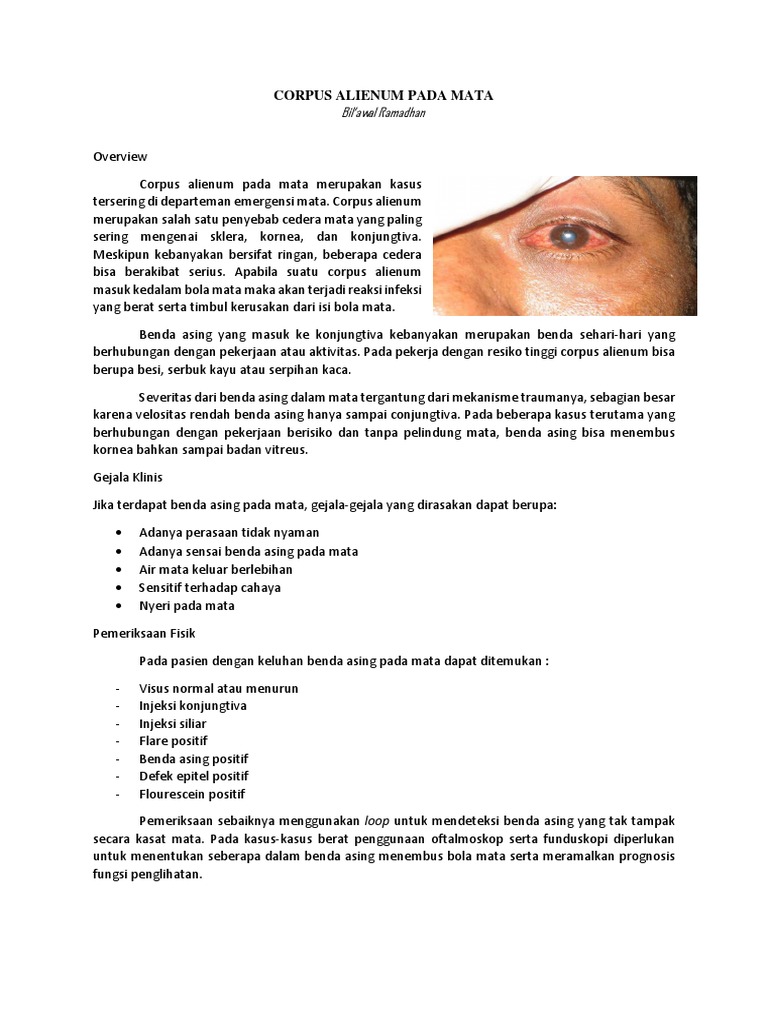 Overview Corpus Alienum Pada Mata | PDF