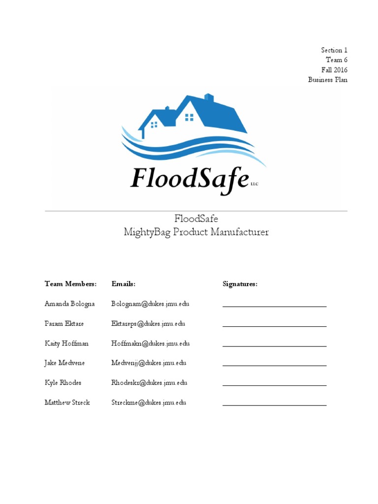 Cob 300 Business Plan | Download Free PDF | Inventory | Revenue