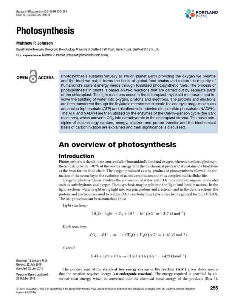 Photosynthesis by Matthew P. Johnson | PDF | Photosynthesis | Electron ...