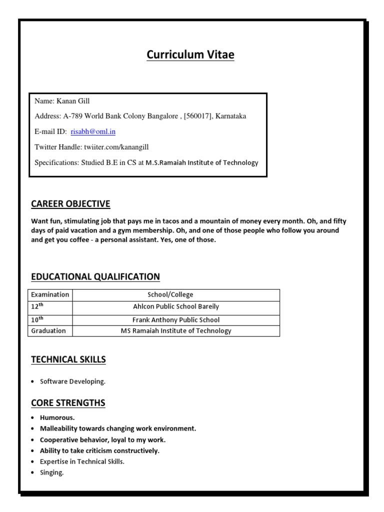 Curriculum Vitae: Career Objective | PDF
