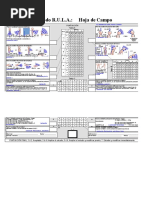 Metodo Rula Excel | PDF | Sistema musculoesquelético | Anatomía humana