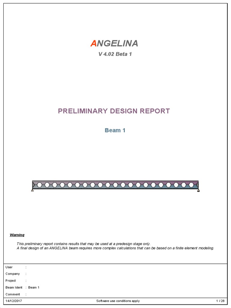 Ngelina: Preliminary Design Report | PDF | Beam (Structure ...