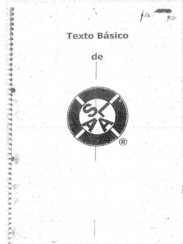 Texto Basico Slaa PDF | PDF