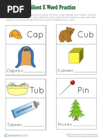 CVCC Words: 'nk', 'nt', 'nd' Patterns | PDF