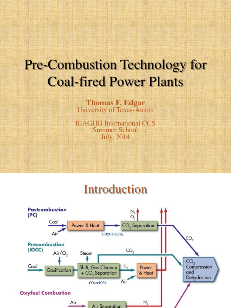 Pre-Combustion Technology For Coal-Fired Power Plants: Thomas F. Edgar ...