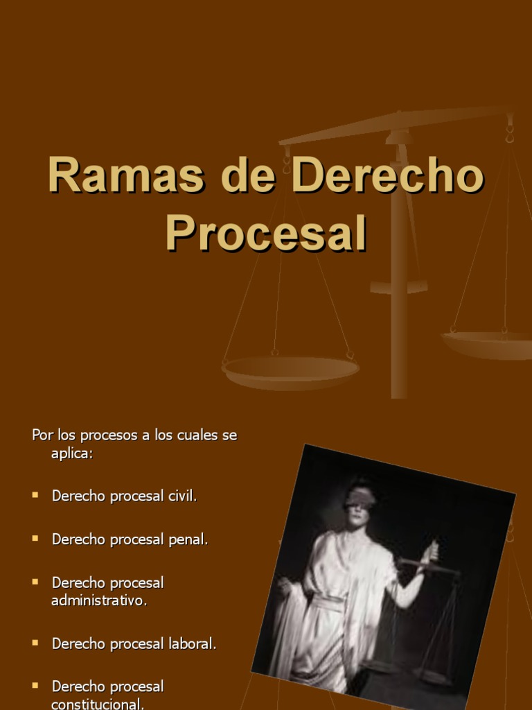 Ramas de Derecho Procesal | PDF | Ley procesal | Ley administrativa