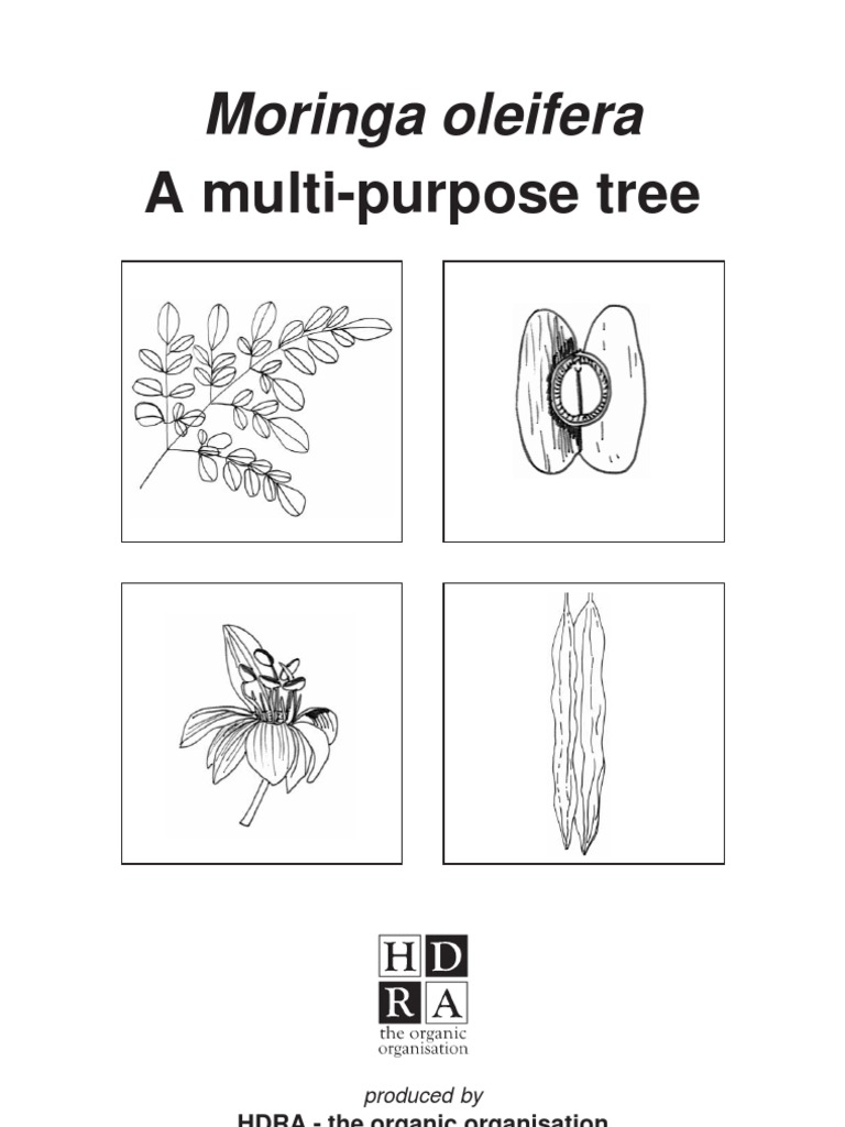 A Multi-Purpose Tree: Moringa Oleifera | PDF
