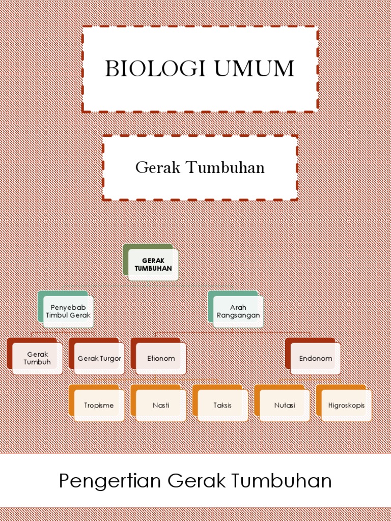 Gerak Tumbuhan: Endonom dan Etionom | PDF | Sains & Matematika