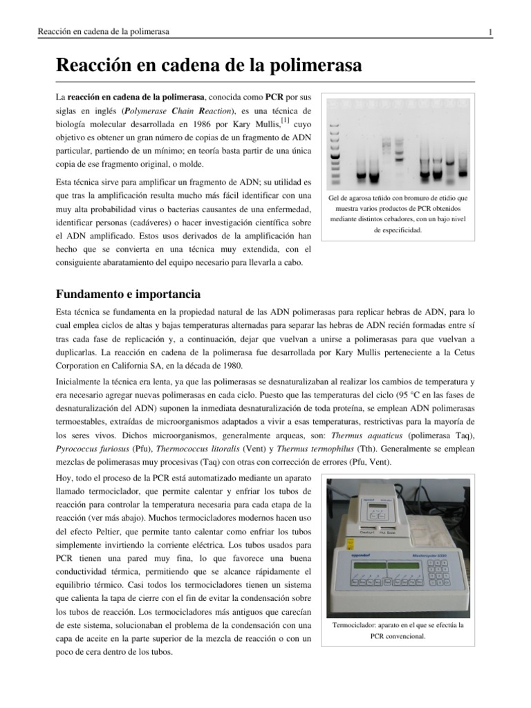 PCR Wikipedia | PDF | Reacción en cadena de la polimerasa | Primer ...