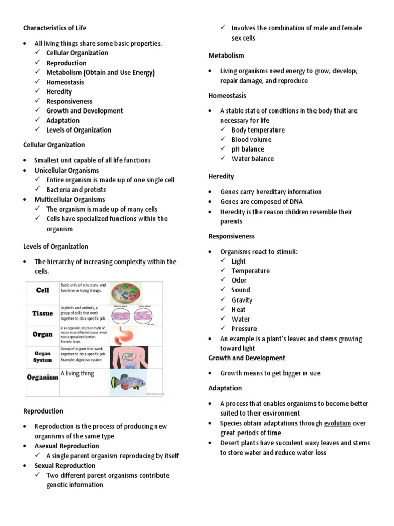 Characteristics of Life | PDF | Organisms | Sexual Reproduction