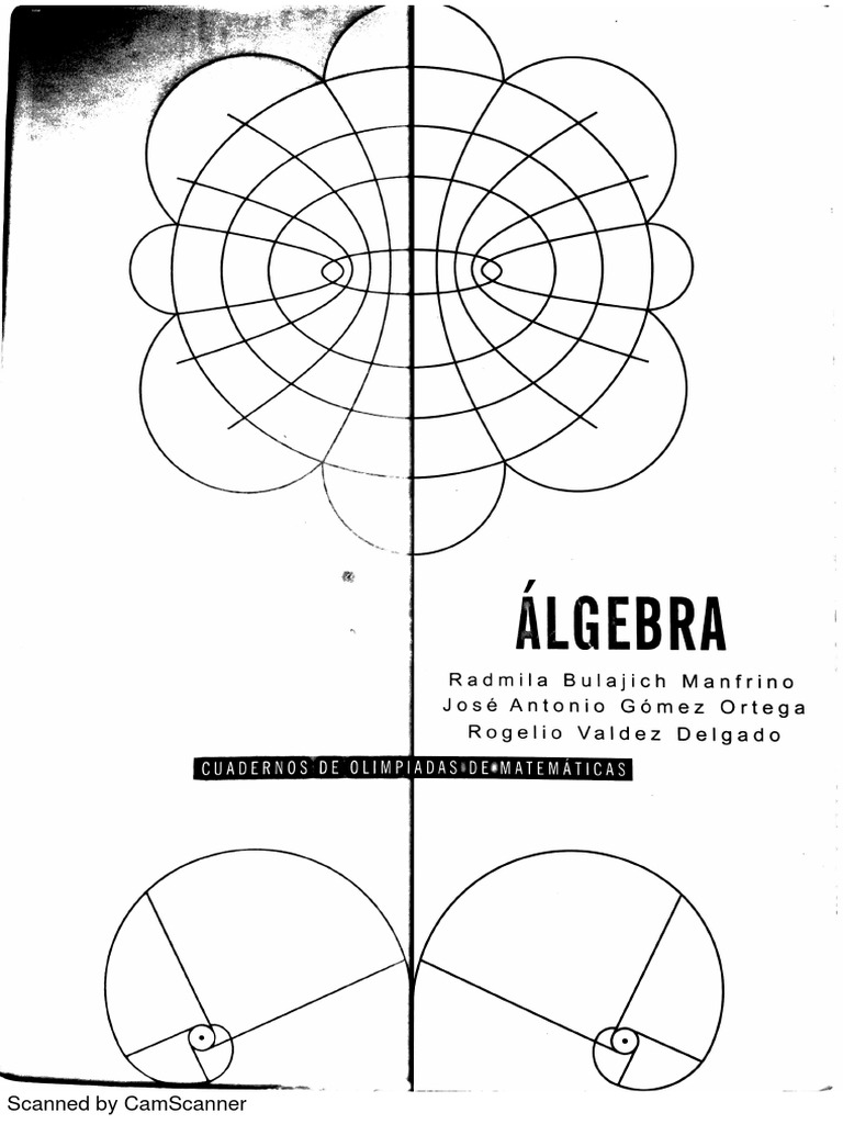 Álgebra | PDF