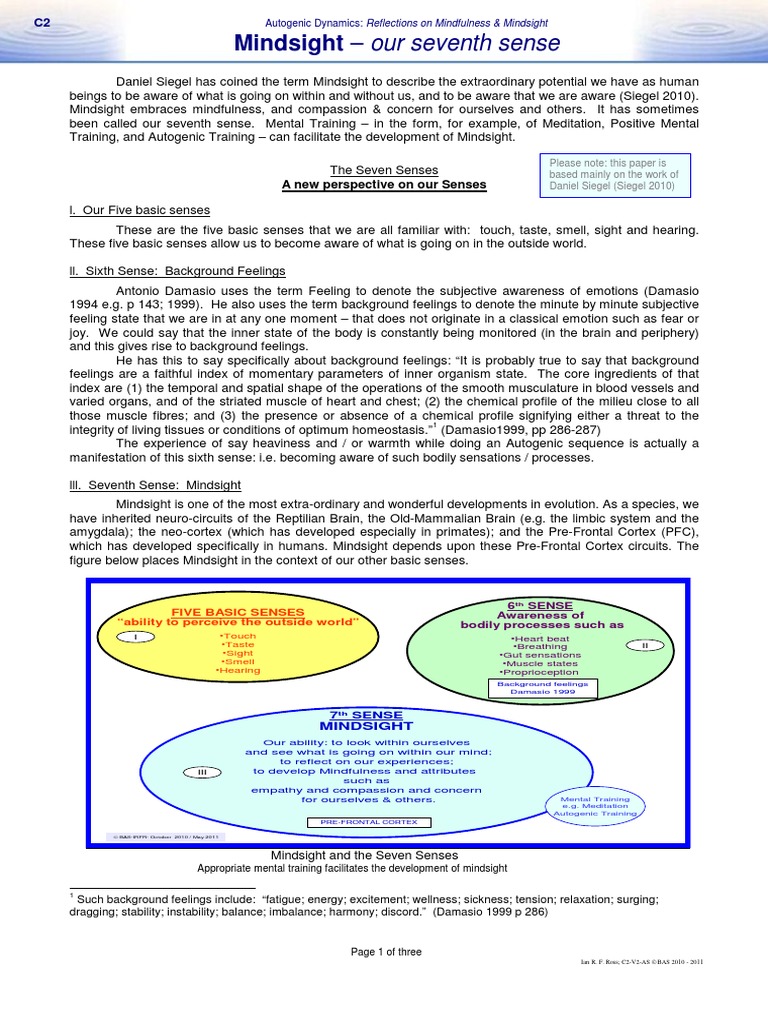 Mindsight - Our Seventh Sense: A New Perspective On Our Senses | PDF ...