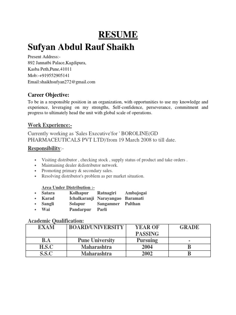 Resume Sufyan Abdul Rauf Shaikh: Career Objective | PDF