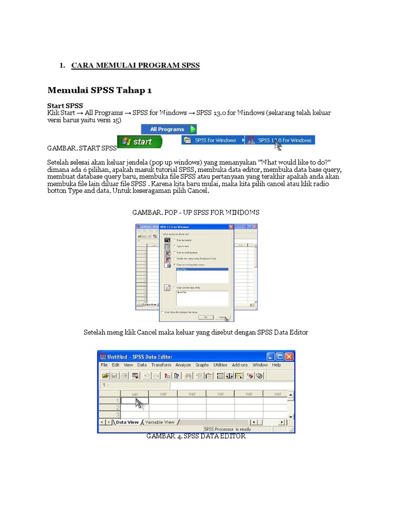 Panduan Dasar Memulai SPSS | PDF | Komputer