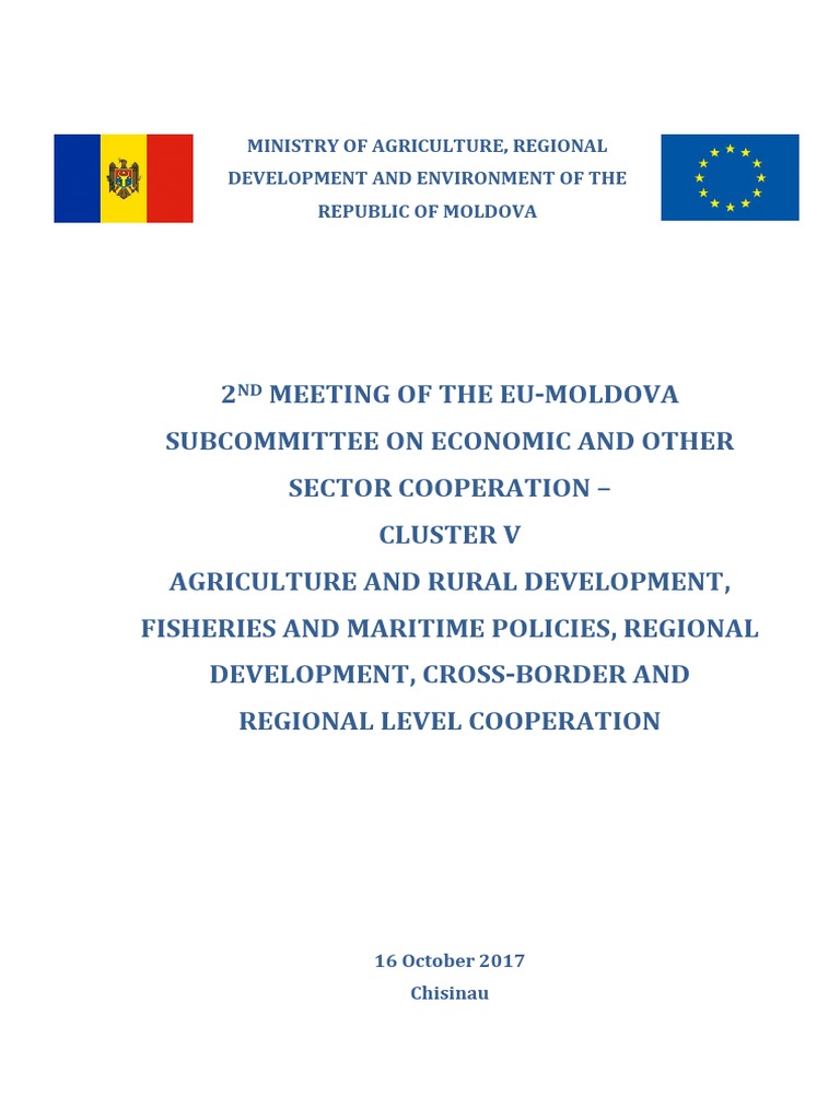 Model Mapa Carnet | PDF