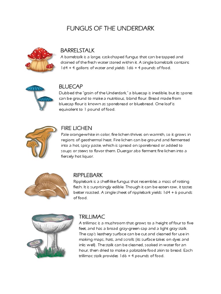 Fungus of The Underdark | PDF | Mushroom | Edible Mushroom