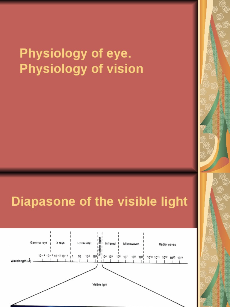 Physiology of Eye. Physiology of Vision | PDF | Human Eye | Visual System