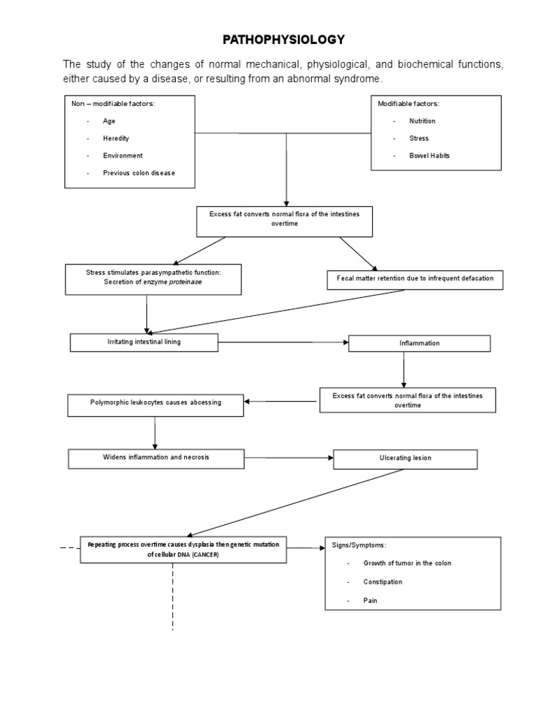 Pathophysiology of Colon Cancer | PDF | Colorectal Cancer | Inflammation