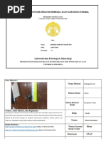 Contoh RAB Proyek + Kurva S | PDF