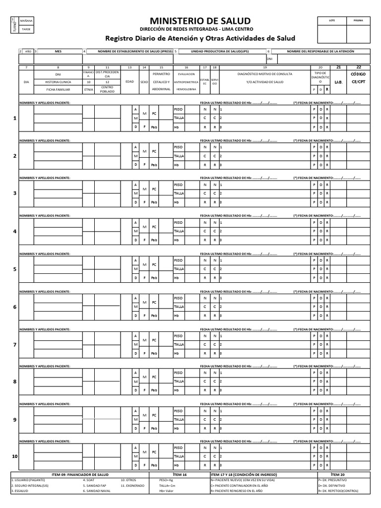 Formato HIS Minsa 2024 para Imprimir | PDF | Medicina | Cuidado de la salud