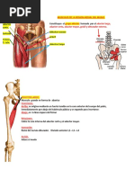 Anatomía del Canal Inguinal Femenino | PDF | Abdomen | Sistema ...