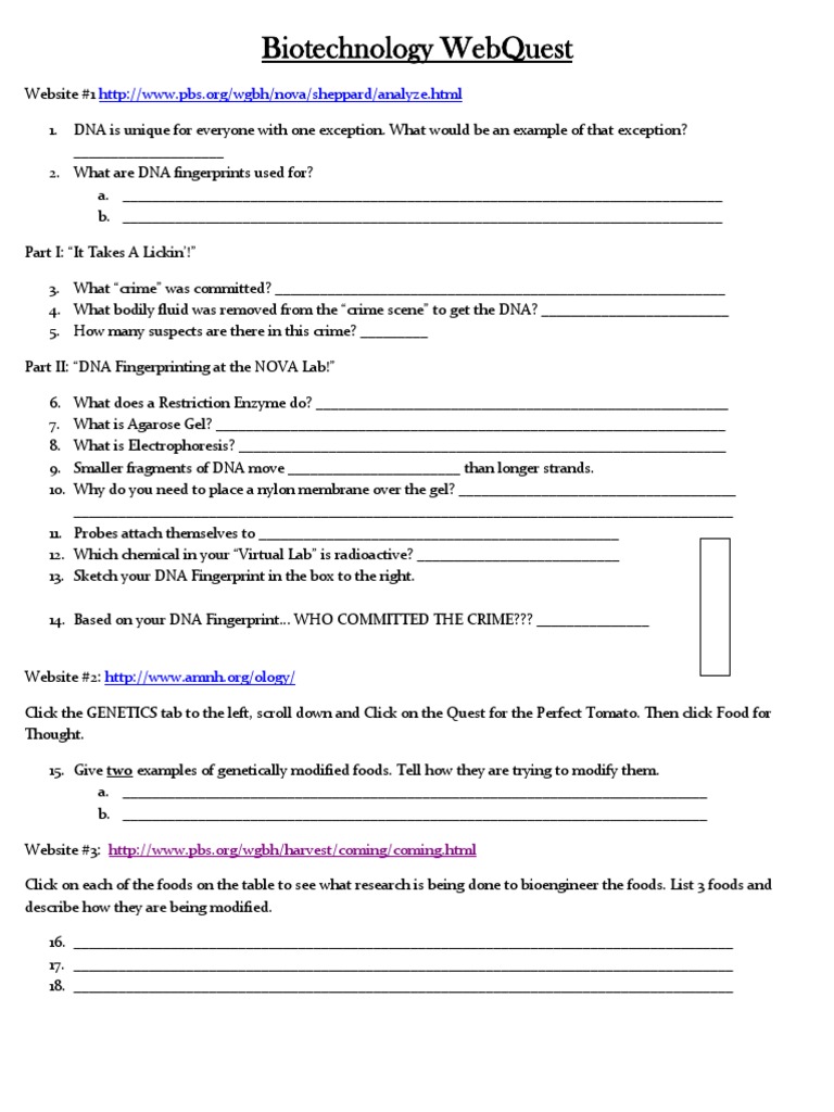 Biotechnology Webquest | PDF | Dna Profiling | Gel Electrophoresis