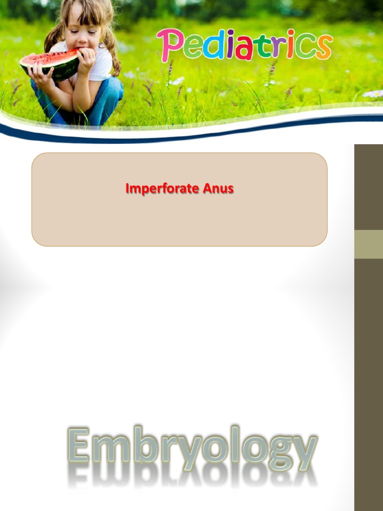 Imperforate Anus Pdf Gastroenterology Medicine