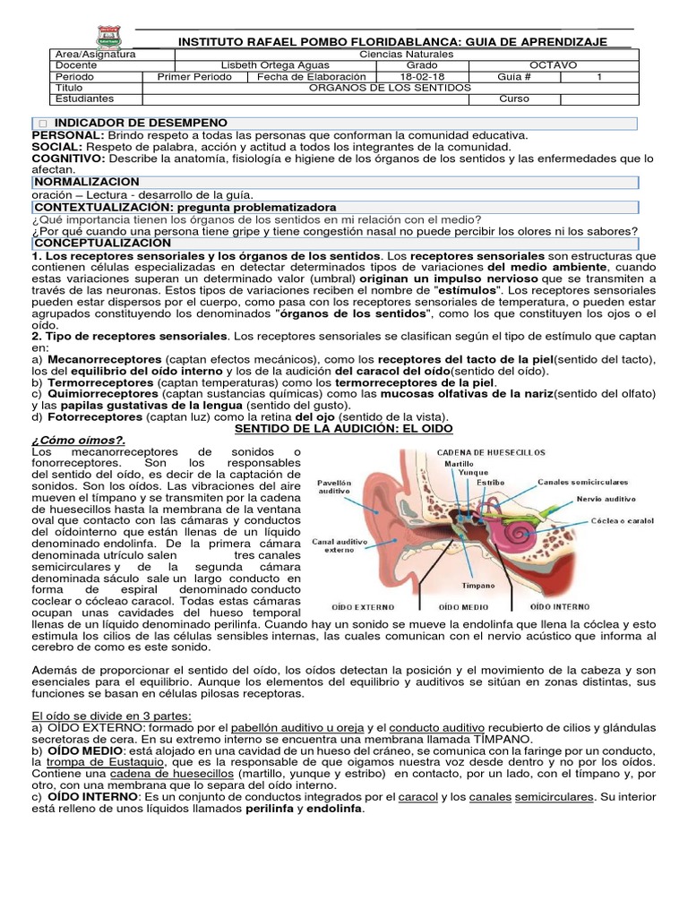 Ocho Sentidos y sus Órganos Sensores | PDF | Ojo humano | Olfato