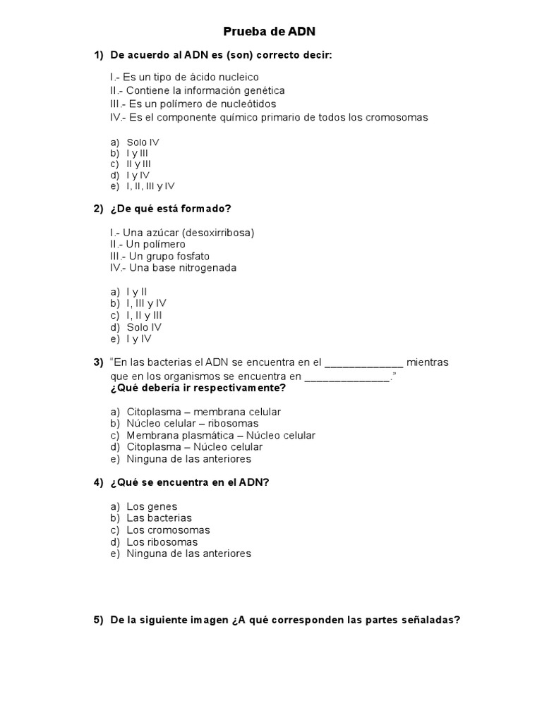 Prueba de Adn | PDF | Replicación De Adn | Adn