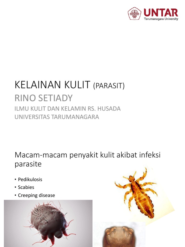 Infeksi Parasit Pada Kulit | PDF